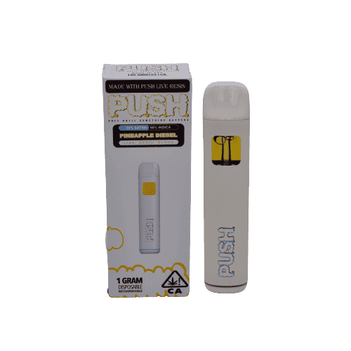 Push 1 Gram Disposable Delta 8 CBD Vape Pen